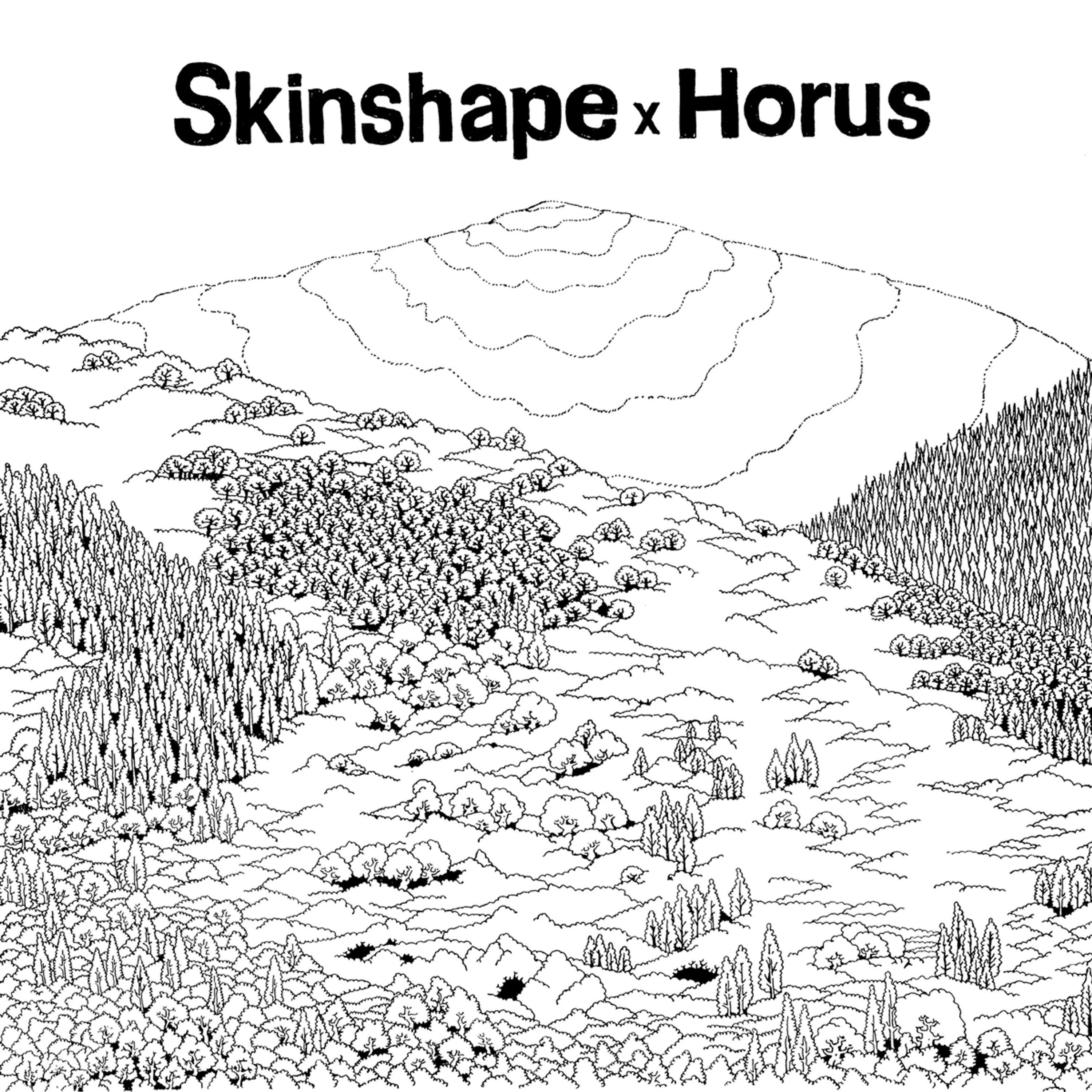 Vinyl SKINSHAPE X HORUS - Skinshape | RUKAHORE SHOP